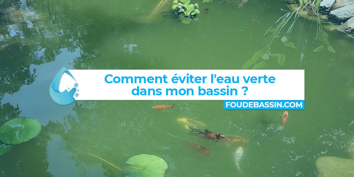 Military Rank Insignia Army Enlisted Finance Corps Medal With US ...