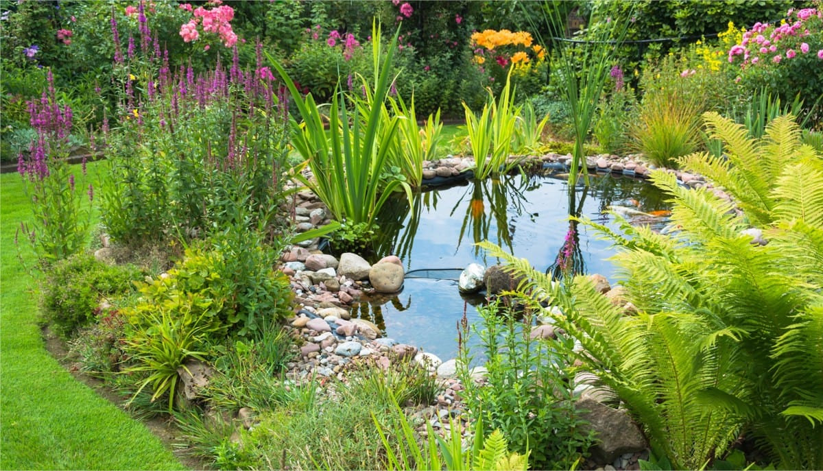 Découvrez tout le matériel pour votre bassin - Foudebassin.com ...