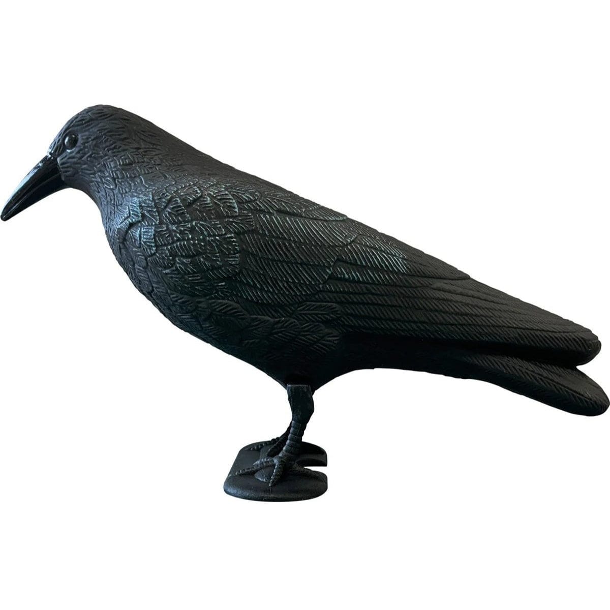 SF DECO BIRD CROW — FOUDEBASSIN.COM