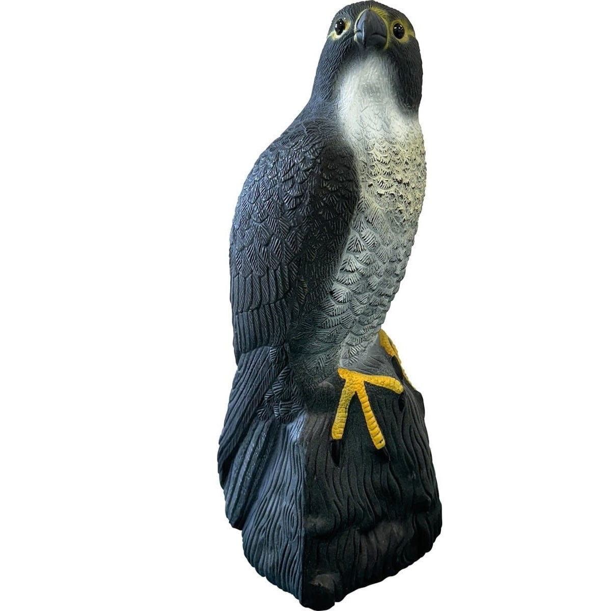 SF DECO BIRD FALCON — FOUDEBASSIN.COM