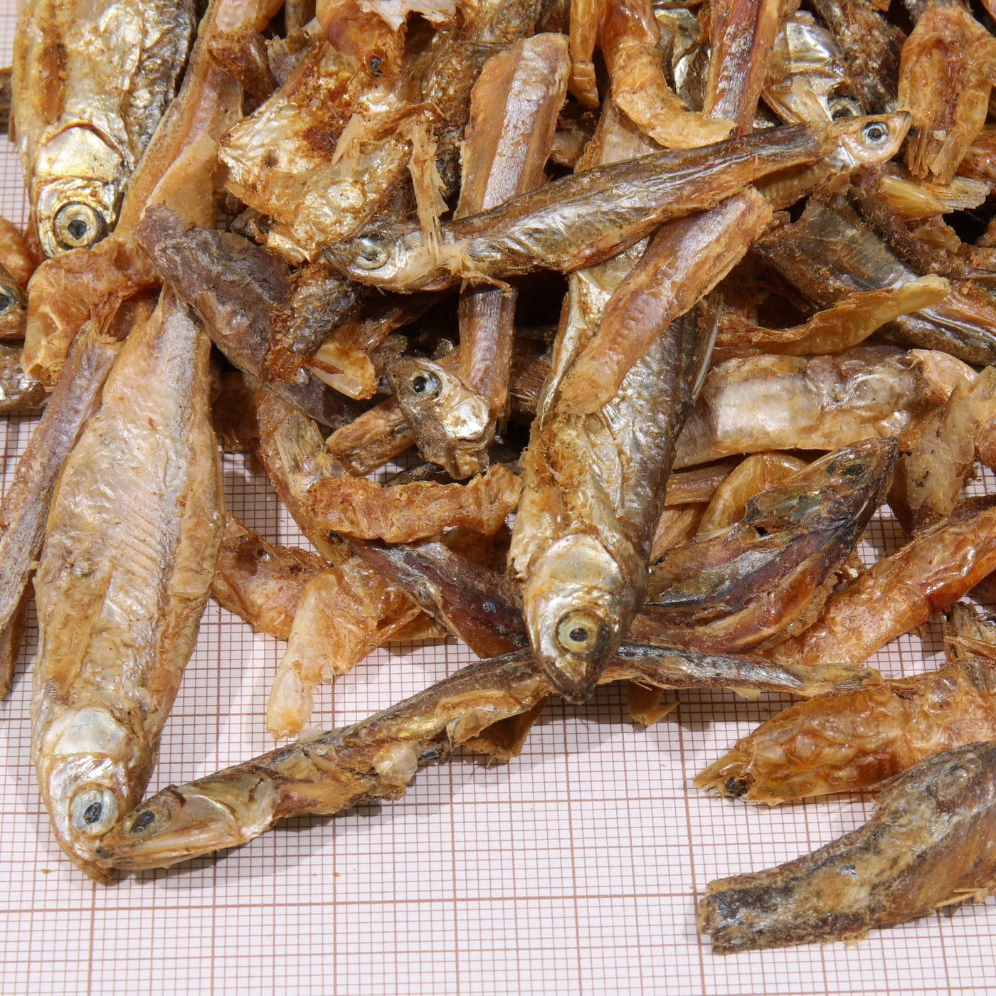 ProTerra JBL Pescarus - Treats made from whole fish and shrimp for all ...