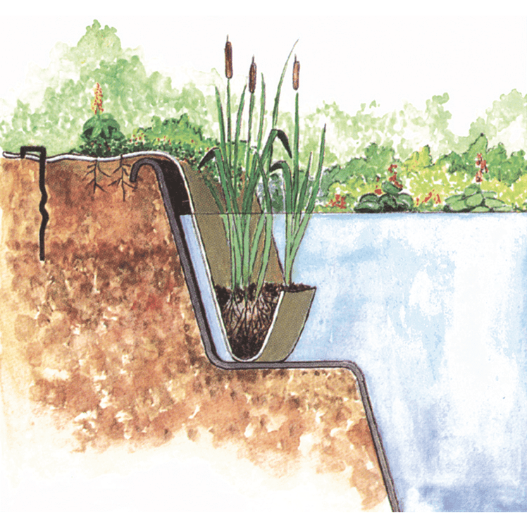 Paniers de plantation pour bassin & étang - Plantes aquatiques ...